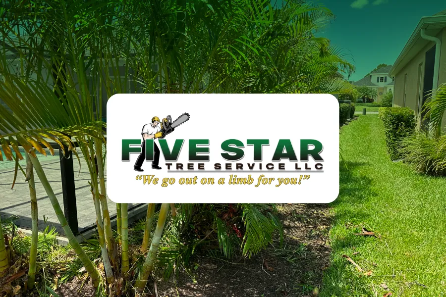 Tree Services Bradenton, FL | 10% Off for Veterans and Seniors